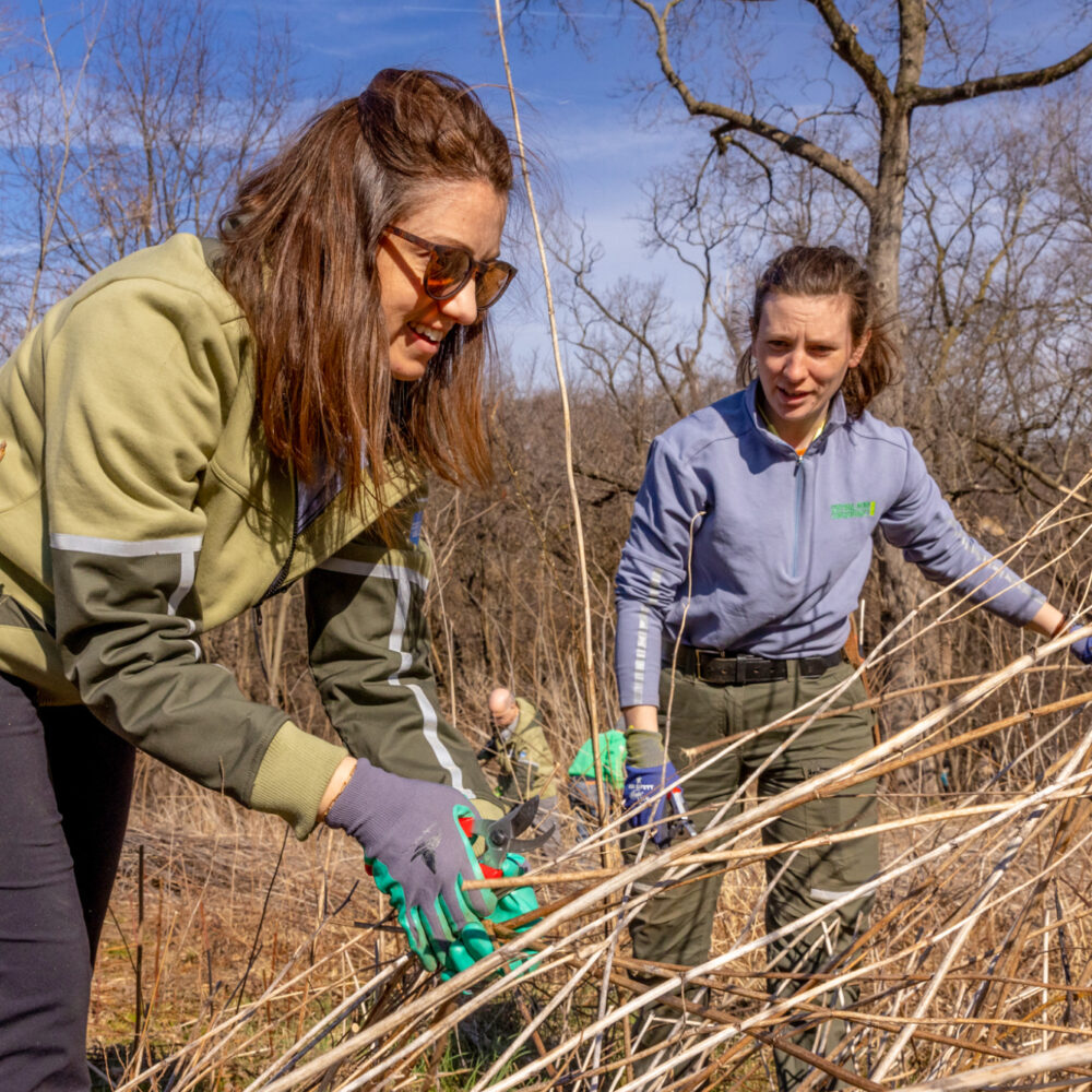 Harlem Meer | Central Park Conservancy