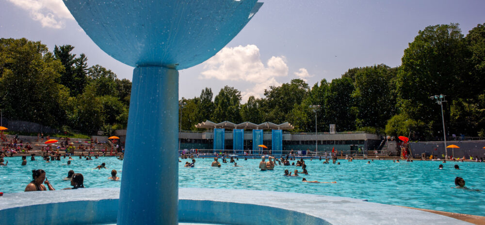 Swimming | Central Park Conservancy