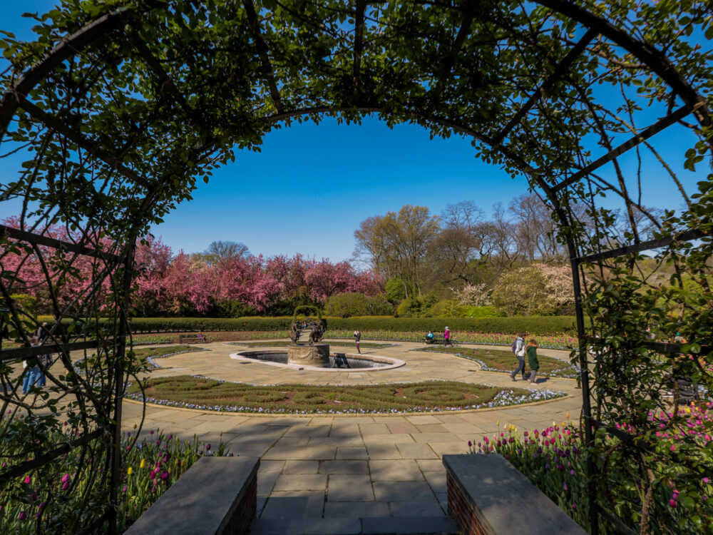 Restoration of the Ravine | Central Park Conservancy