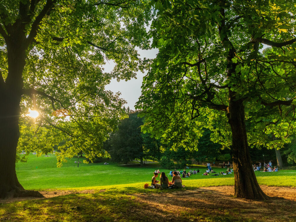 The Park Needs Us to Stay Clean and Green:… | Central Park Conservancy