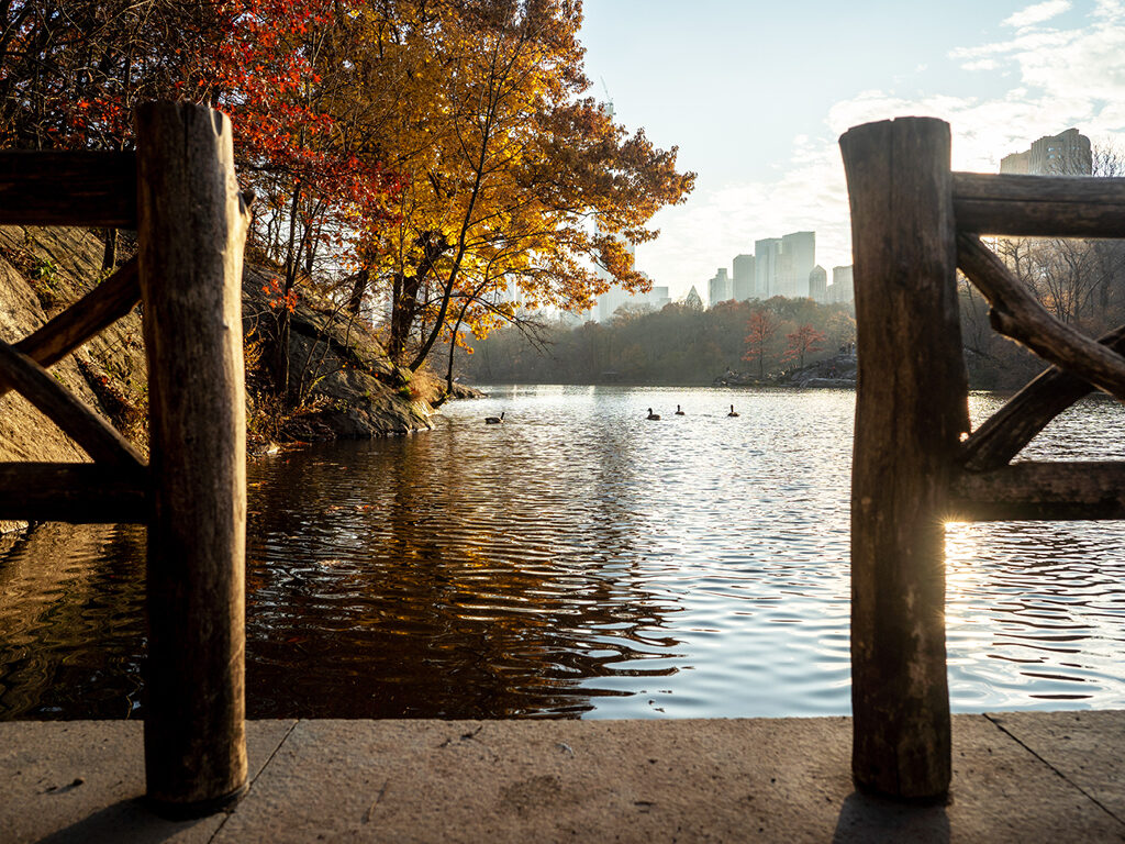 Digital Backgrounds: Desktop | Central Park Conservancy