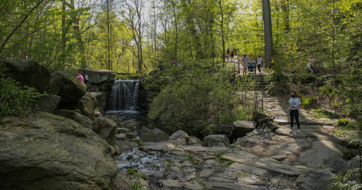 An Insider's Walk Through Central Park | Central Park Conservancy
