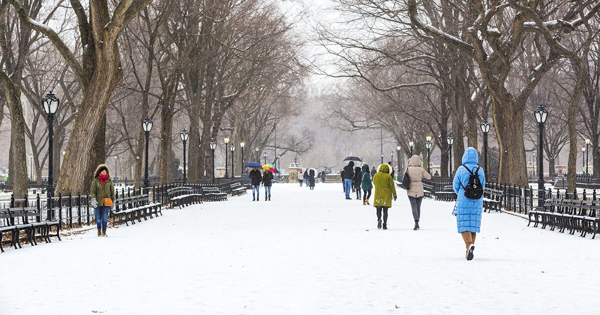 The Mall (Literary Walk) | Central Park Conservancy