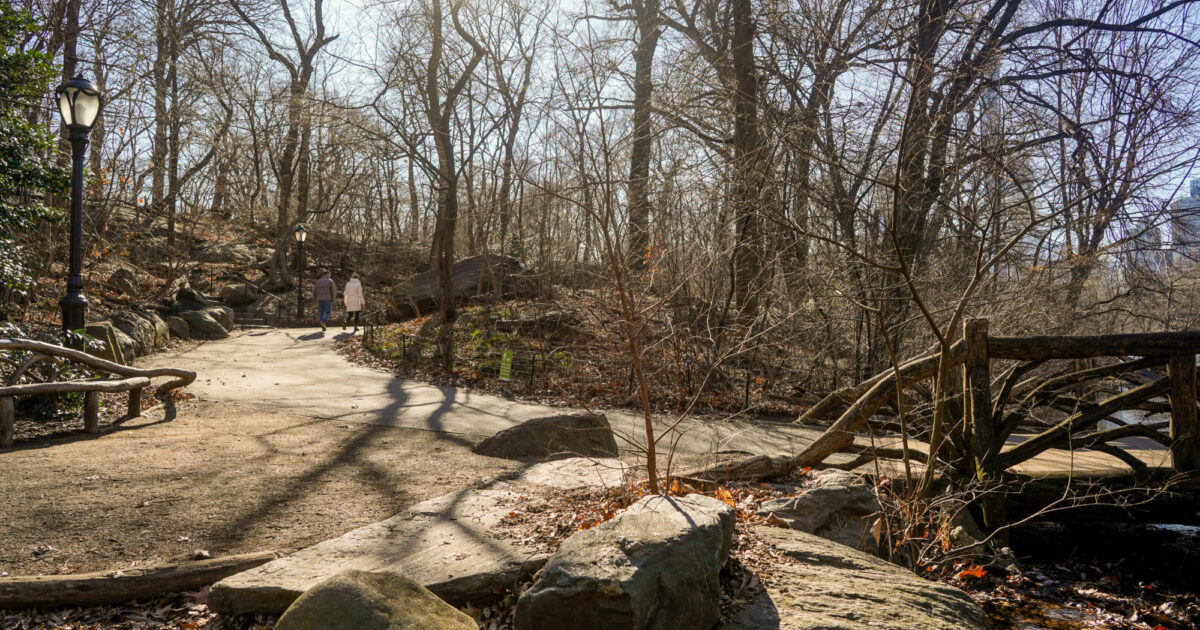 The Ramble Tour | Central Park Conservancy