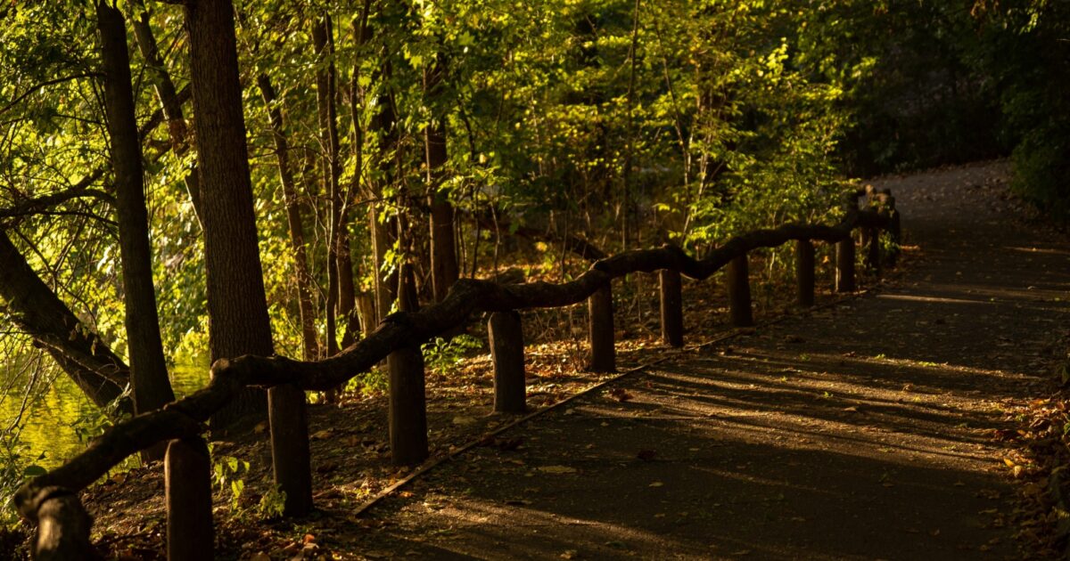 The Ramble Self-Guided Tour | Central Park Conservancy