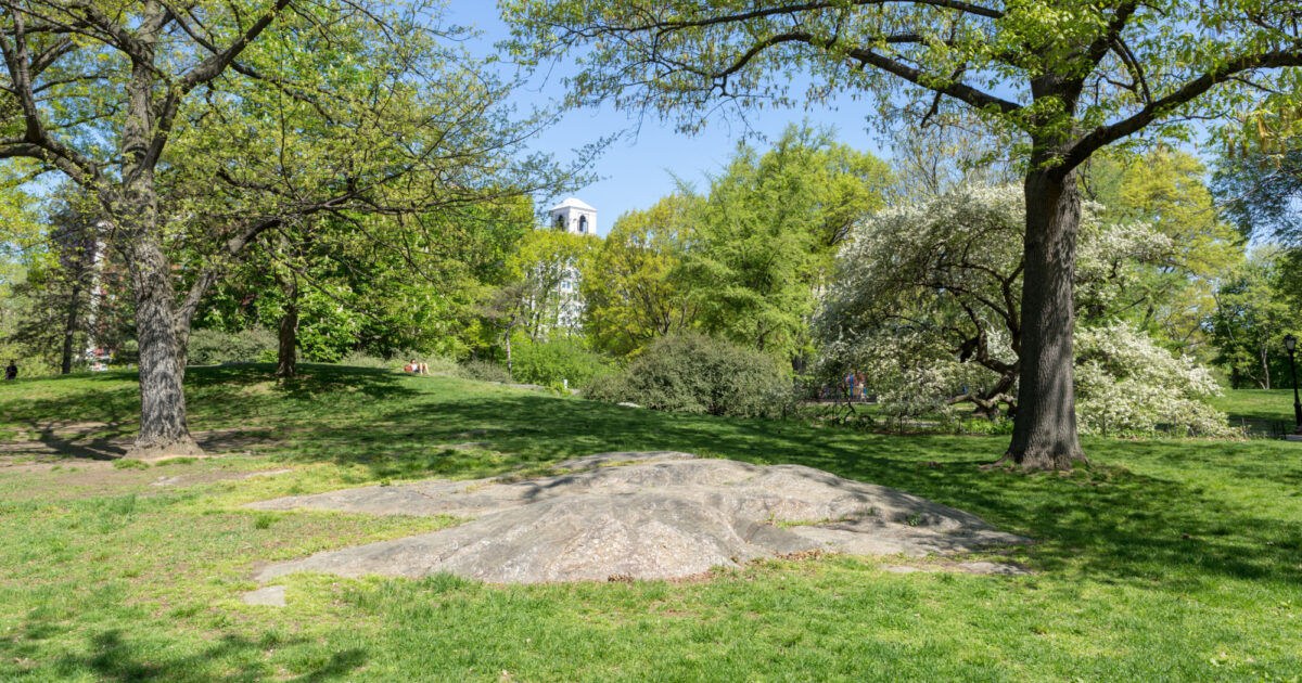 How the Landscape of Seneca Village Can… | Central Park Conservancy