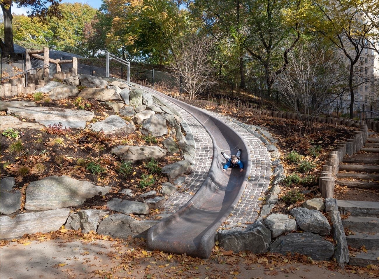 Discover the Perfect Central Park… | Central Park Conservancy