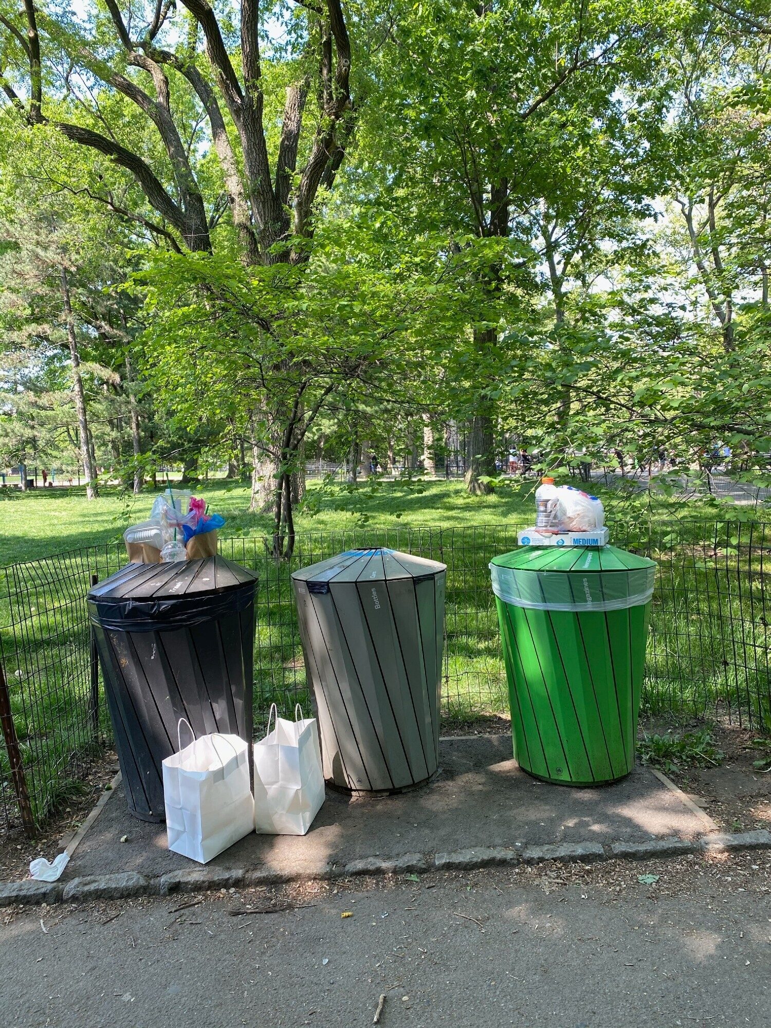 Keeping NYC's Backyard Clean & Green: A… | Central Park Conservancy