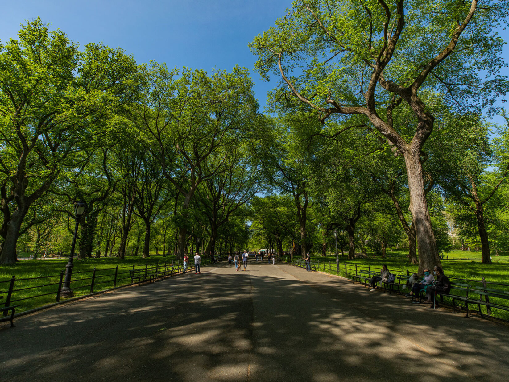 A History of Monuments in Central Park | Central Park Conservancy