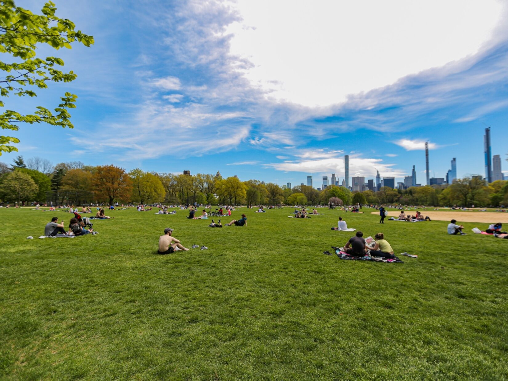 Power of the Park: Reflecting on a Year of… | Central Park Conservancy