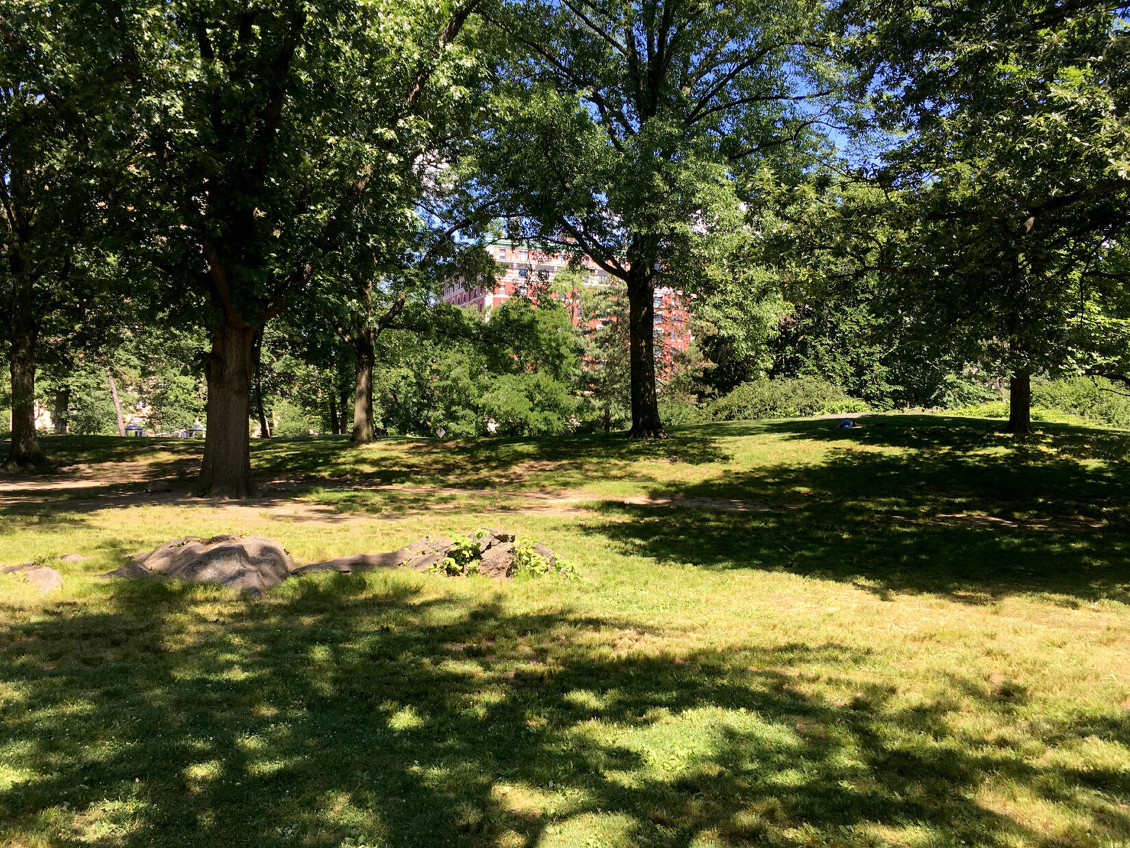 The Story of Seneca Village | Central Park Conservancy