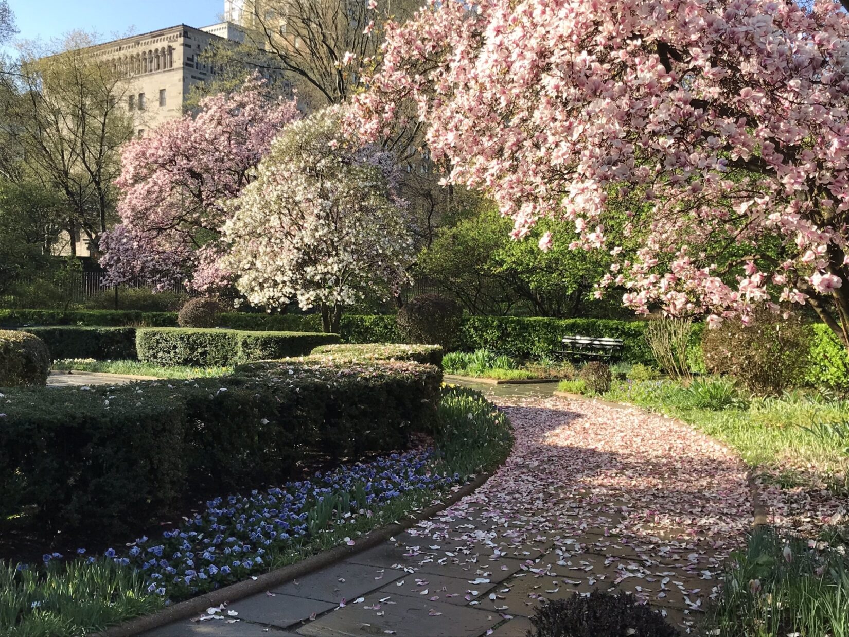 Membership Perks | Central Park Conservancy