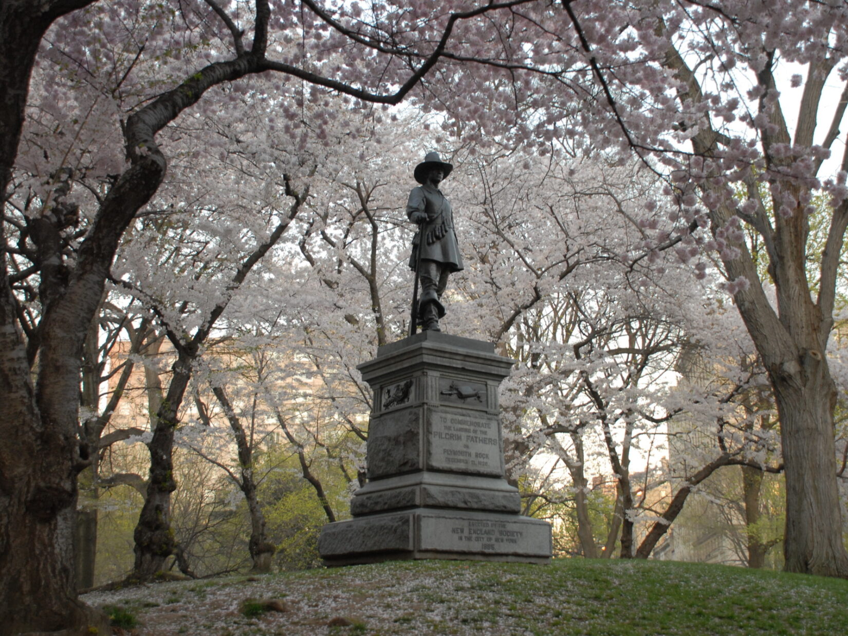 Weekly Walks | Central Park Conservancy