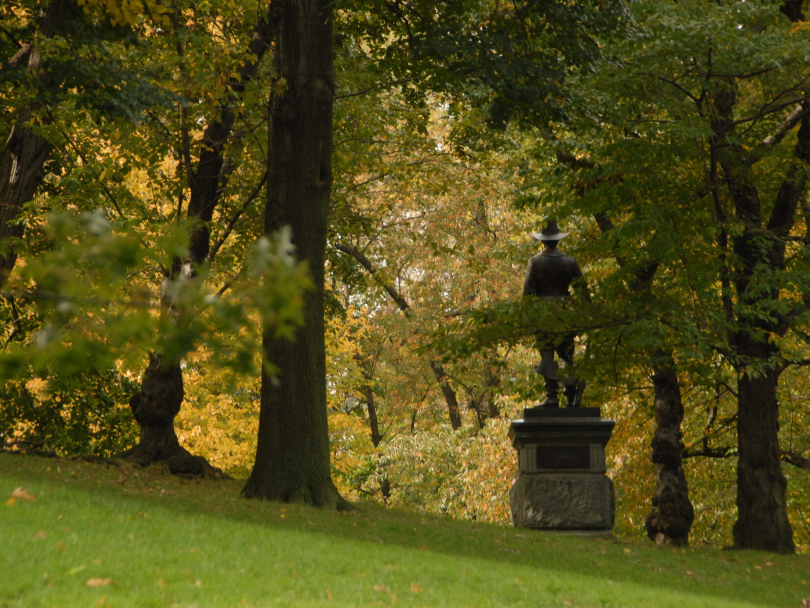 Pilgrim Hill | Central Park Conservancy