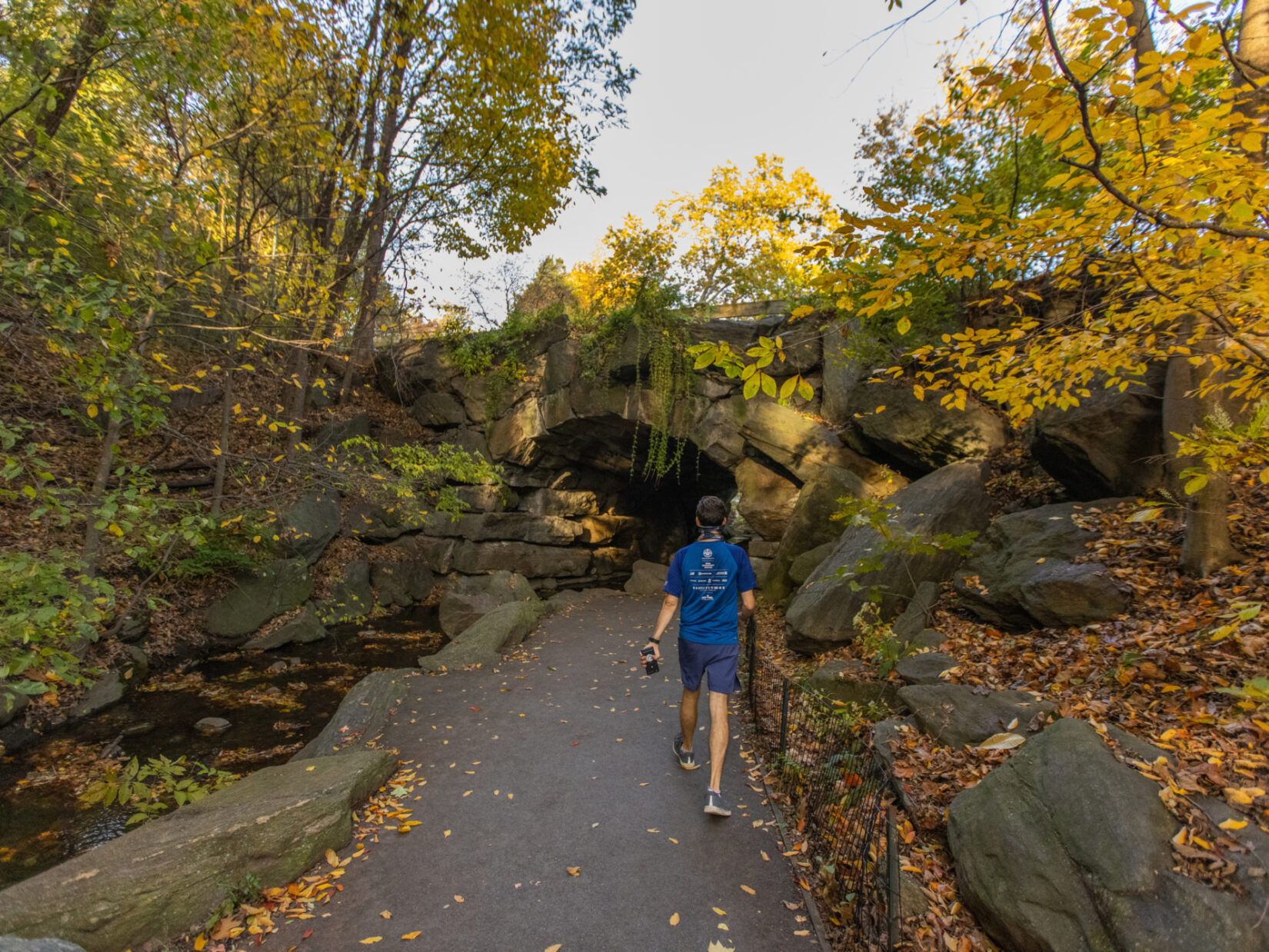 Establishing a ‘Gateway to Harlem’: The… | Central Park Conservancy