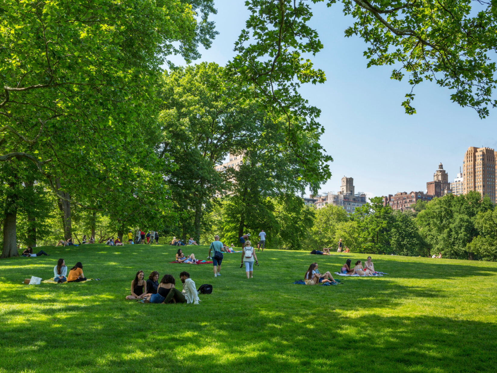 Preserve New York City S Backyard Central Park Conservancy