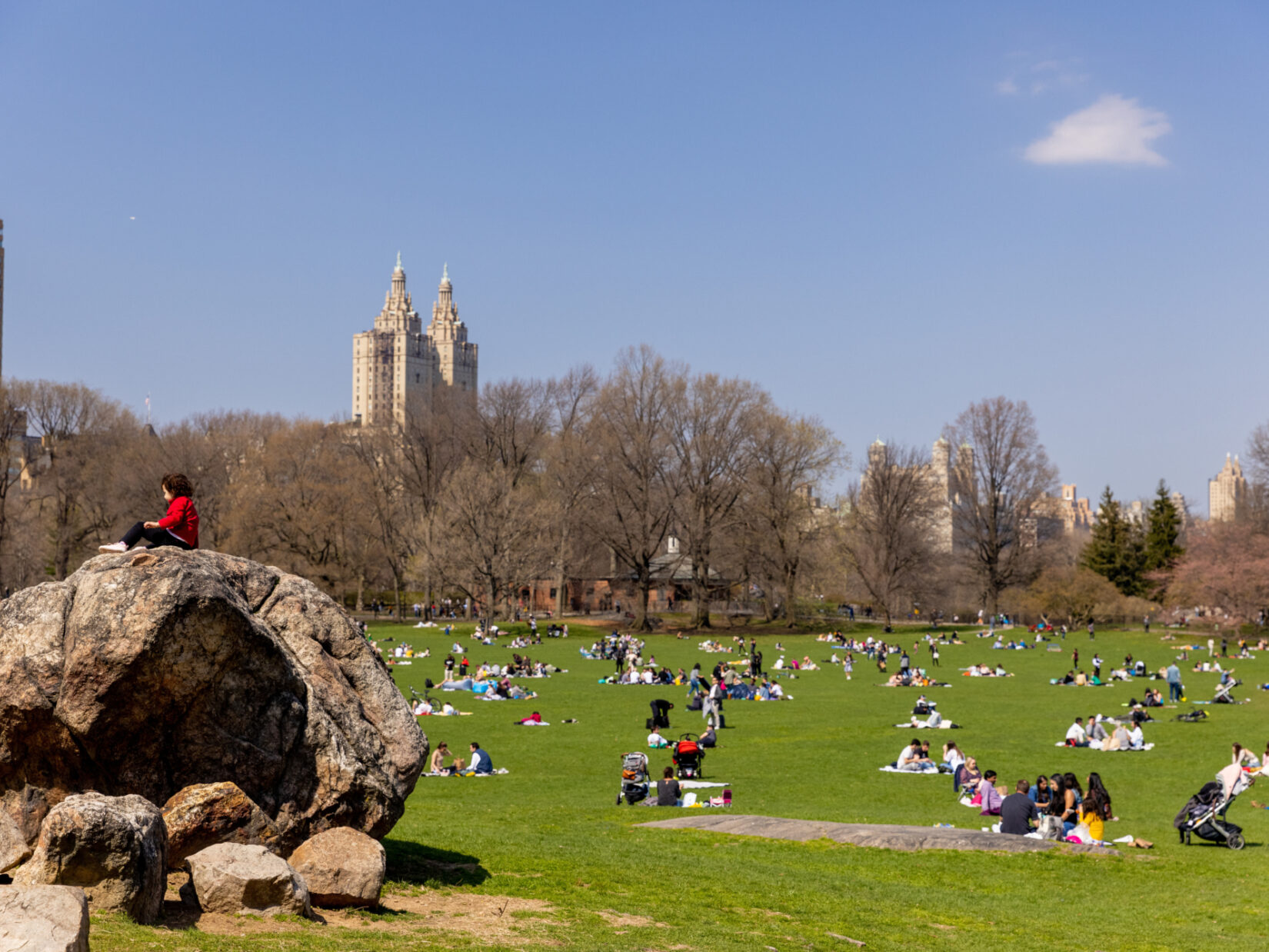 The Park Needs Us | Central Park Conservancy