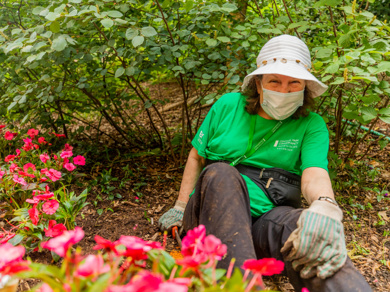Volunteer | Central Park Conservancy