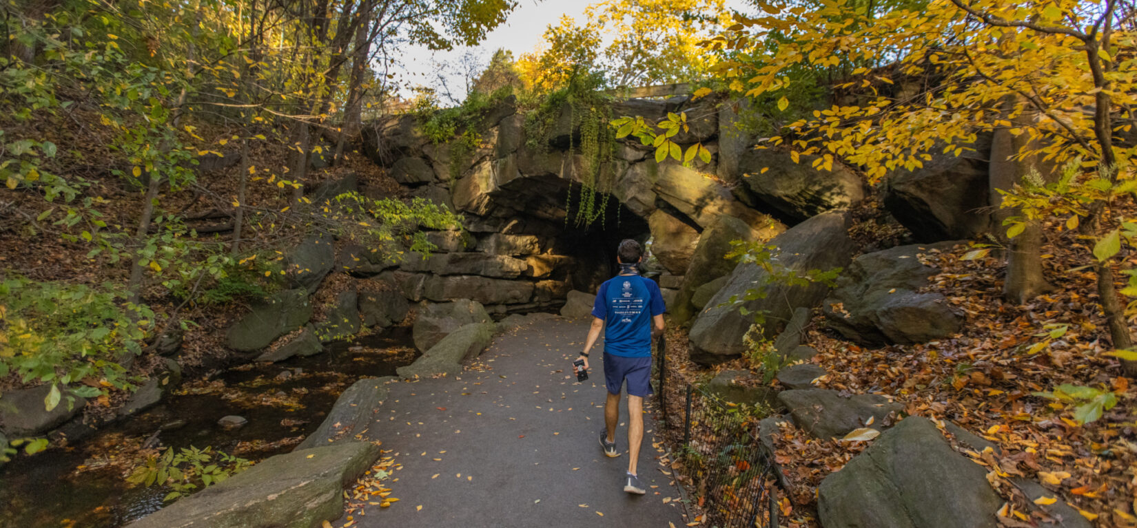A Walk in the Park: A Neuroscientist… | Central Park Conservancy
