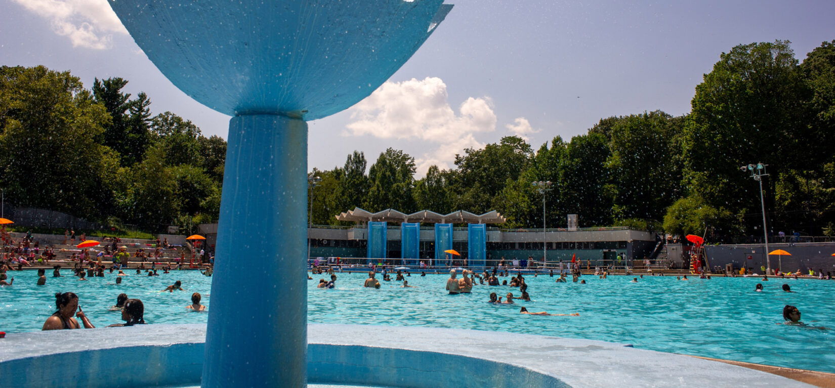 Swimming | Central Park Conservancy