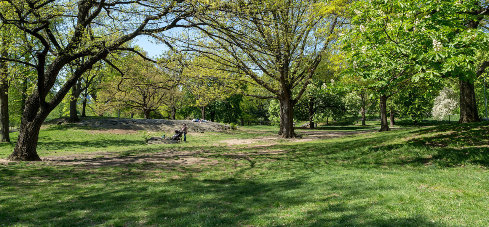 The Story of Seneca Village | Central Park Conservancy