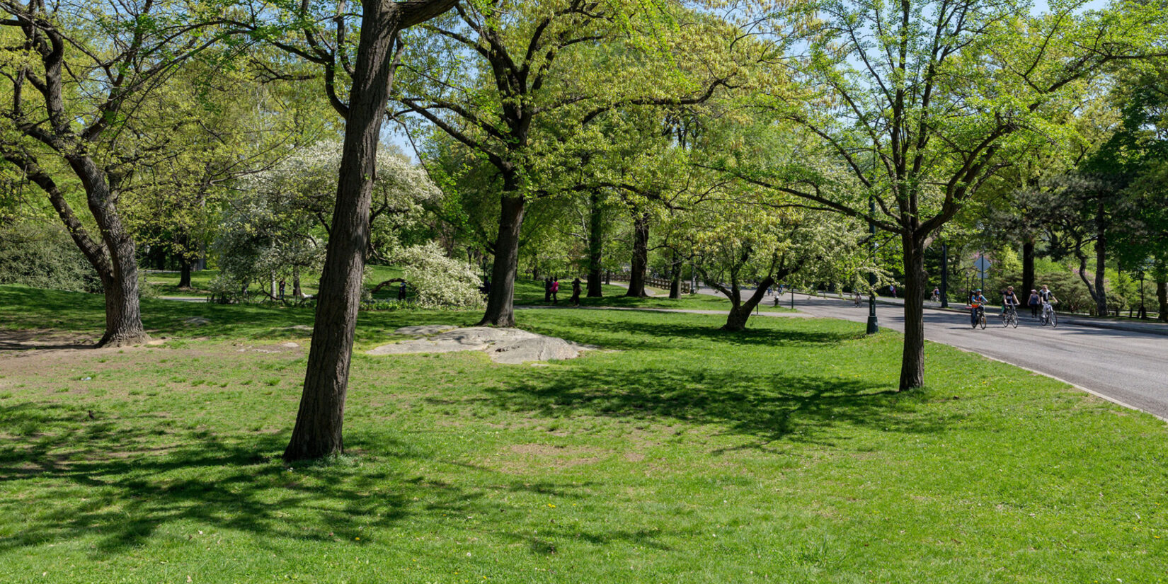 The Story of Seneca Village | Central Park Conservancy