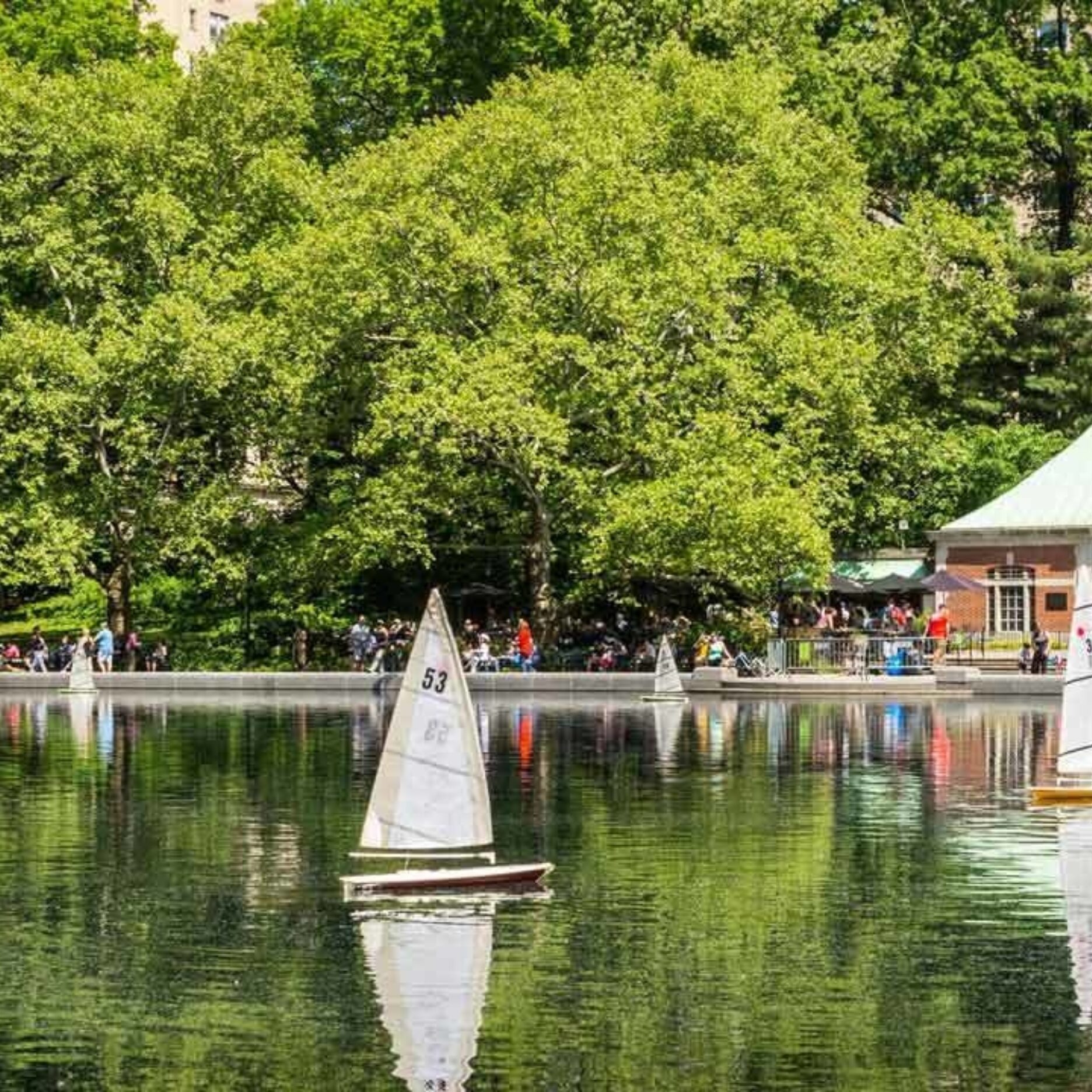 Conservatory Water | Central Park Conservancy