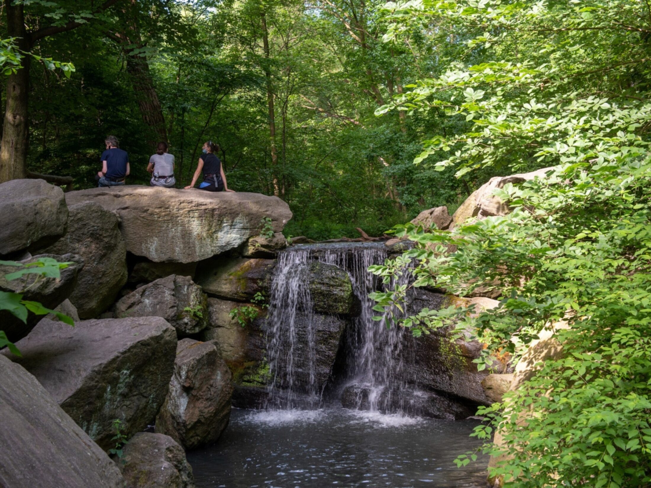 The Ravine | Central Park Conservancy