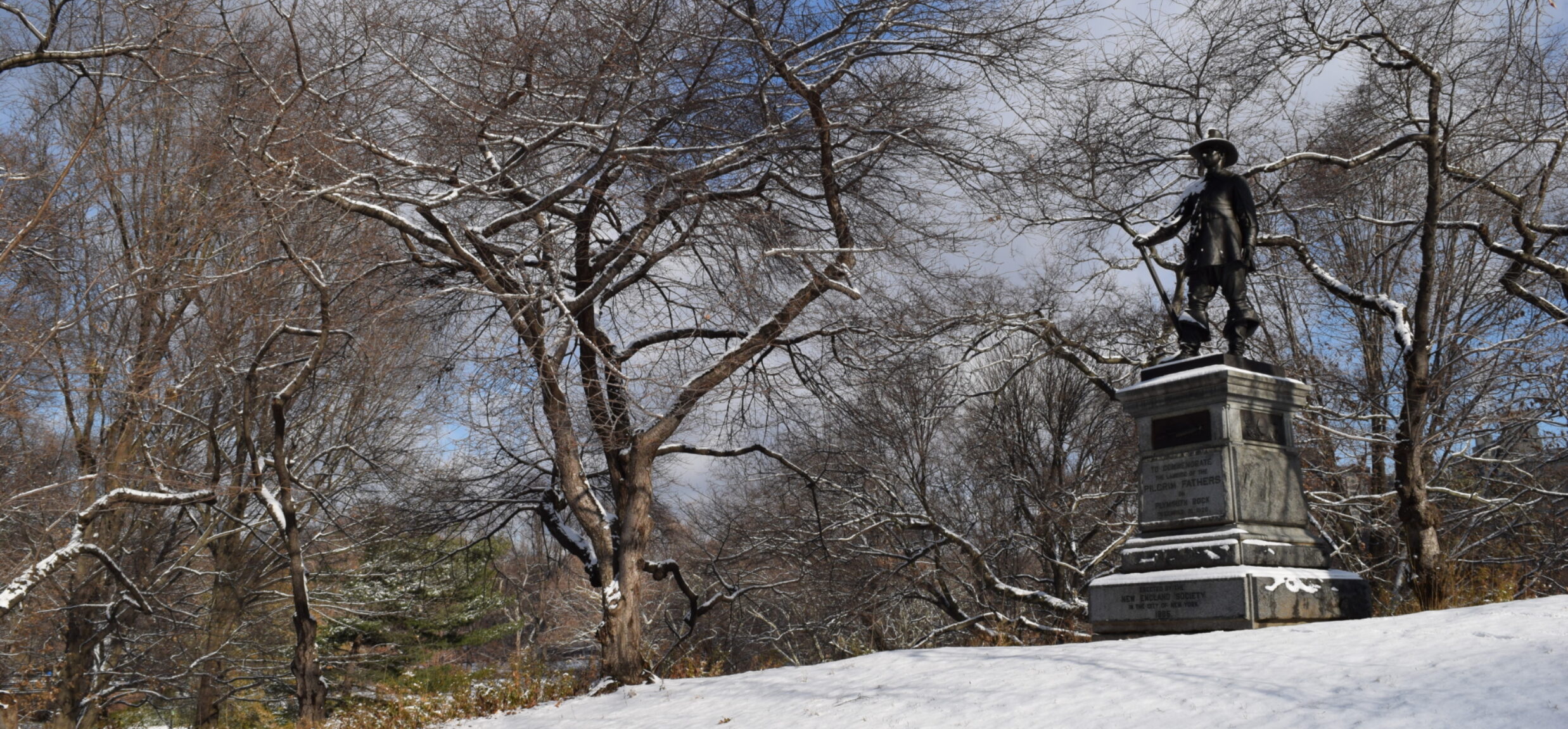 Pilgrim Hill | Central Park Conservancy