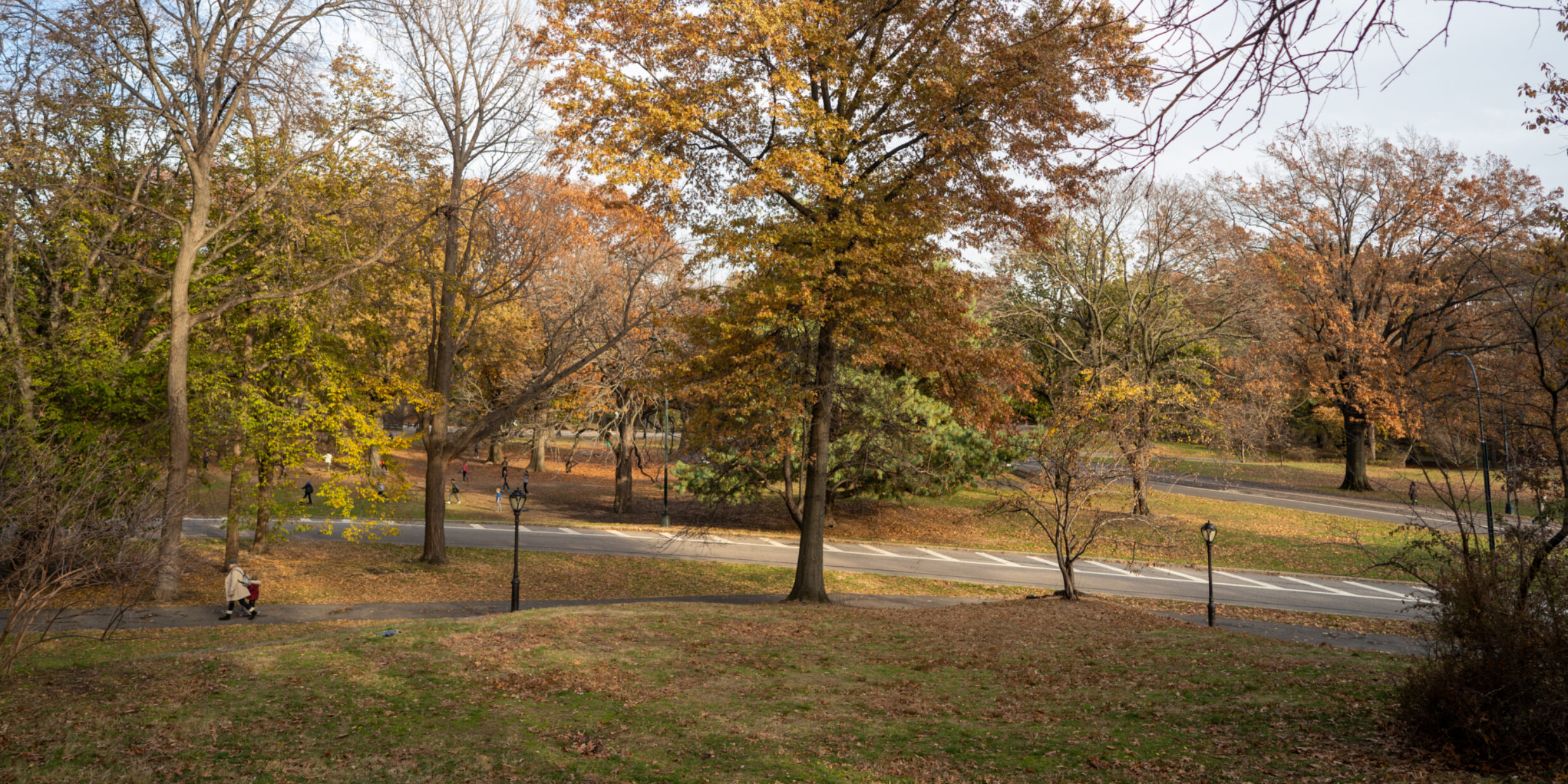How the Landscape of Seneca Village Can… | Central Park Conservancy