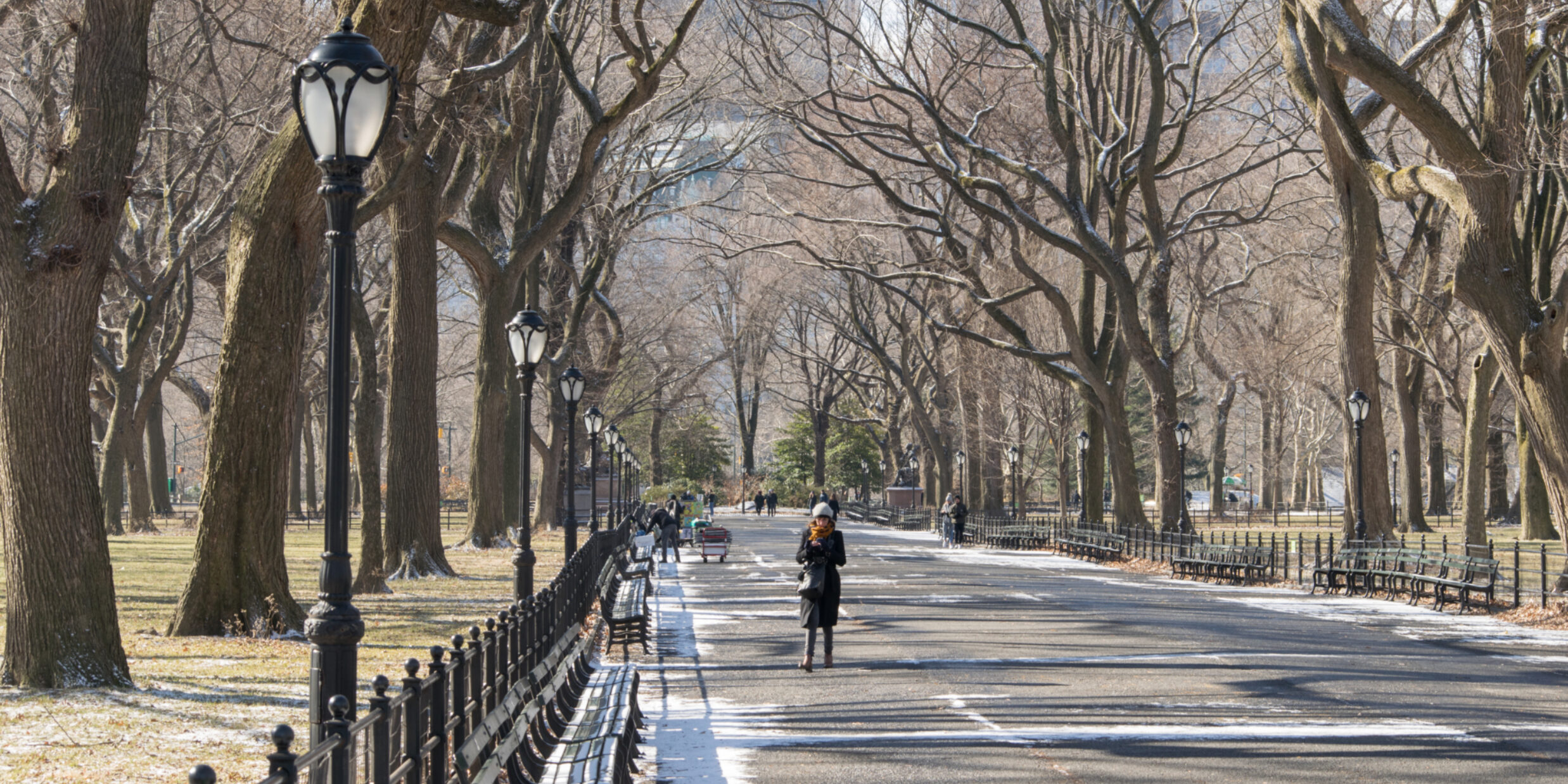 A Walk in the Park: A Neuroscientist… | Central Park Conservancy