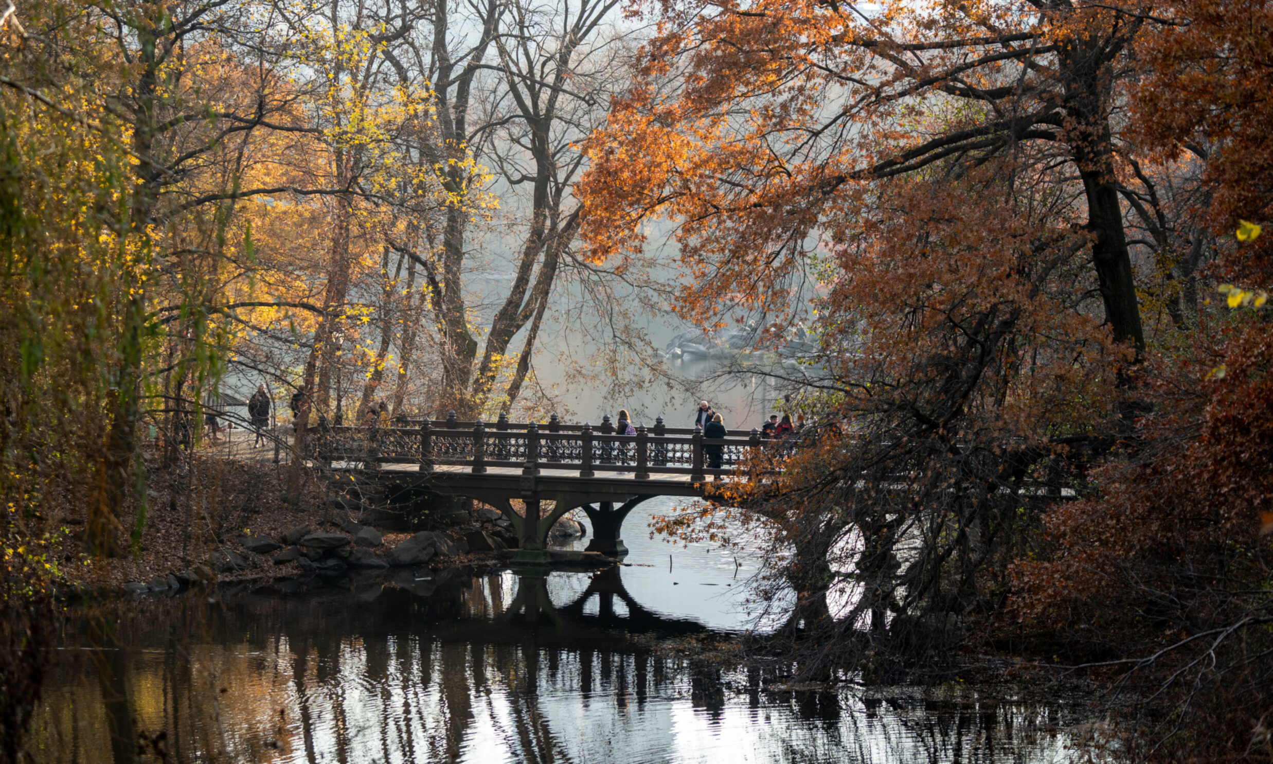 Oak Bridge | Central Park Conservancy