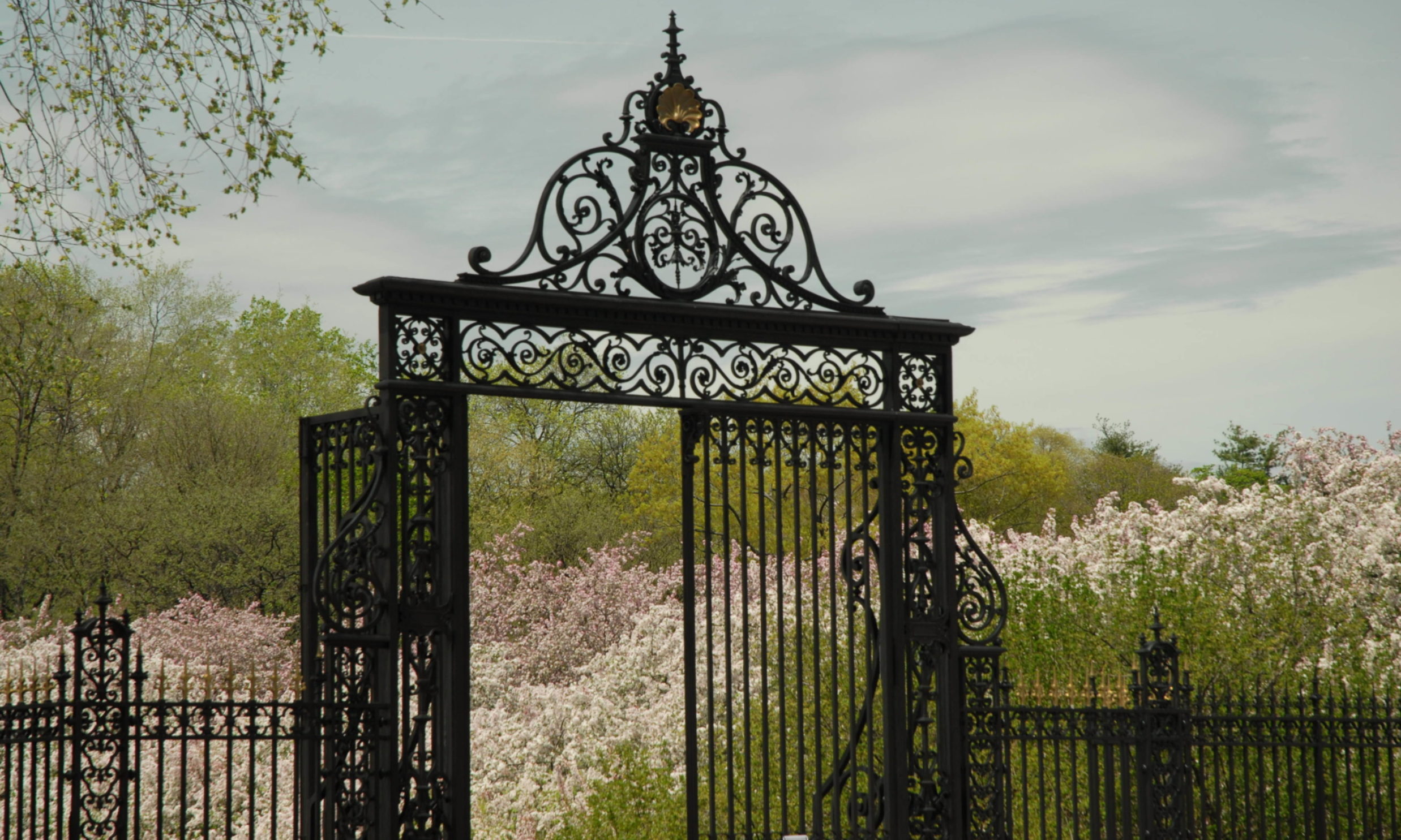 Corporate Programs | Central Park Conservancy