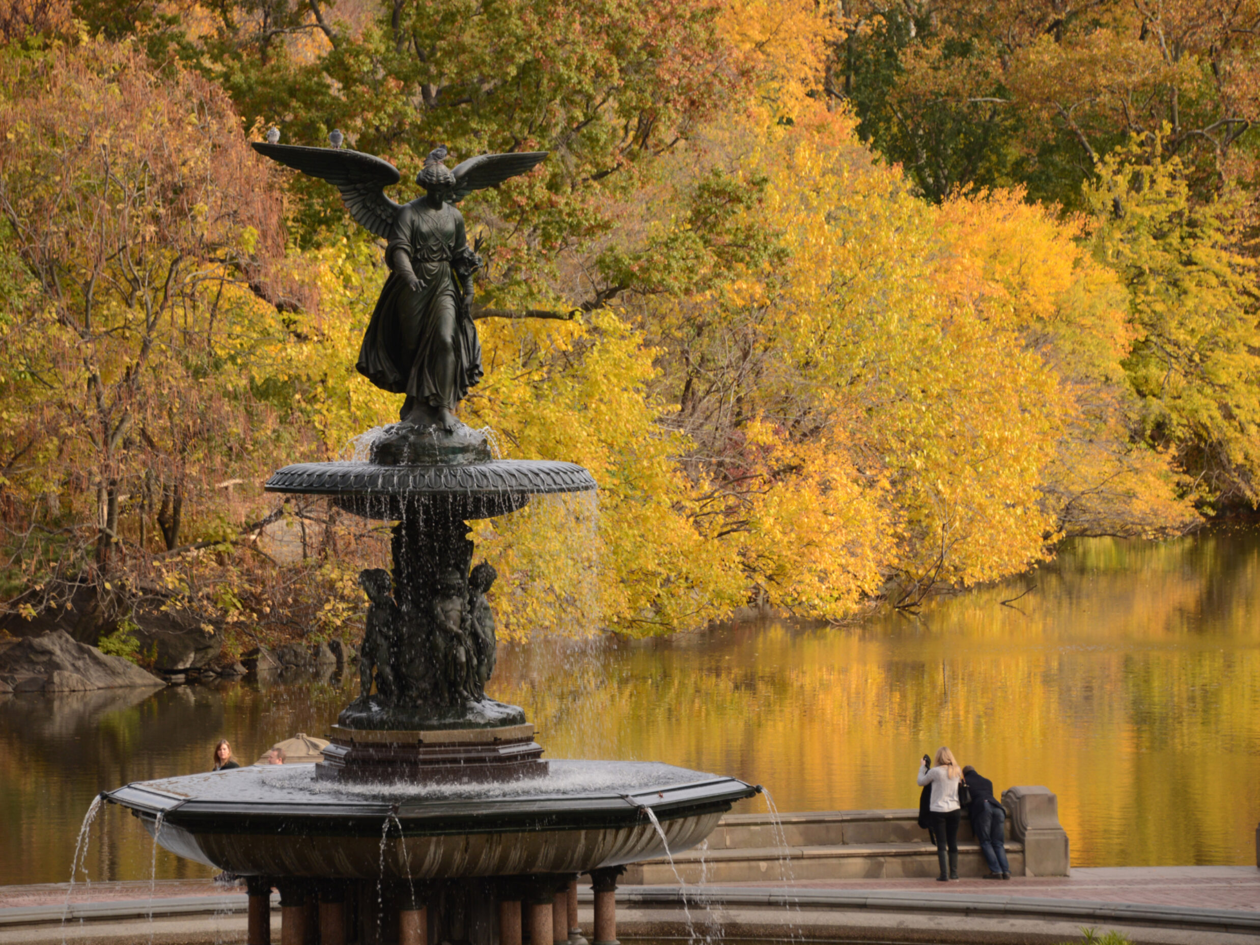 Image Downloads | Central Park Conservancy
