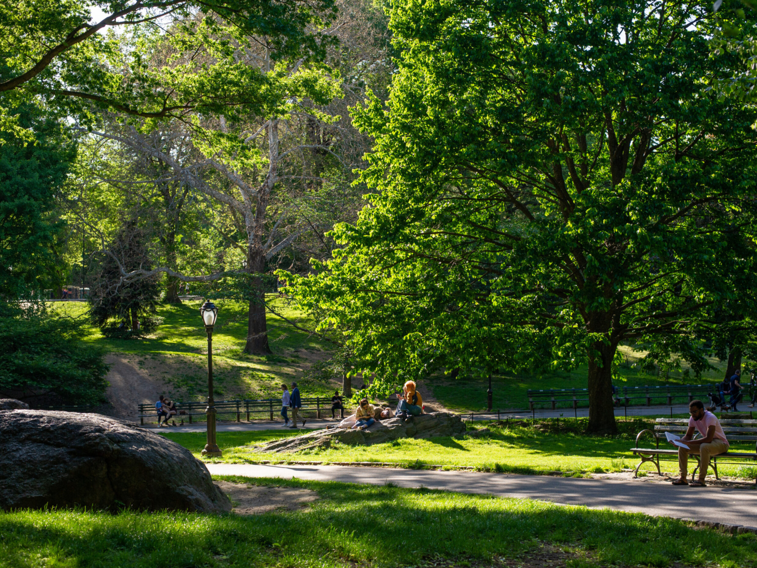Other Ways to Give | Central Park Conservancy