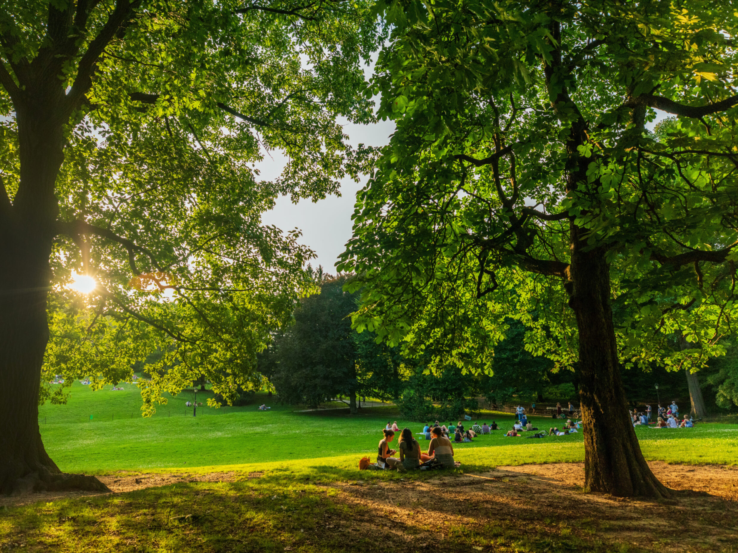The Park Needs Us to Stay Clean and Green:… | Central Park Conservancy