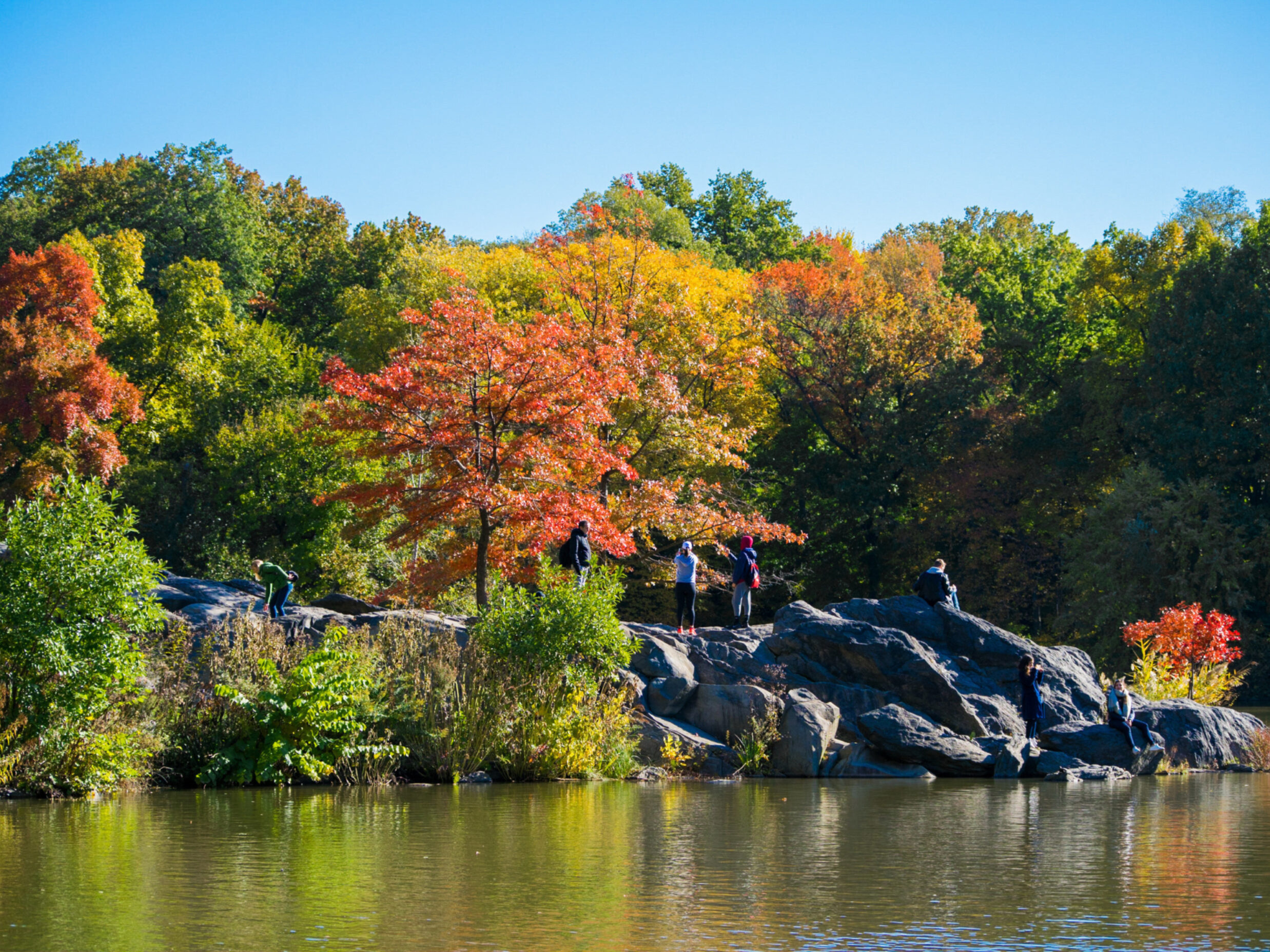 Conservatory Garden | Central Park Conservancy