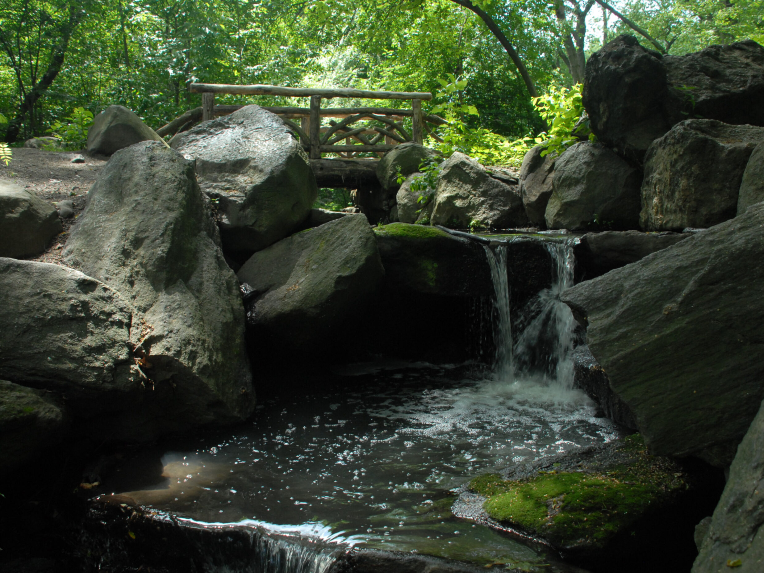 Weekly Walks | Central Park Conservancy