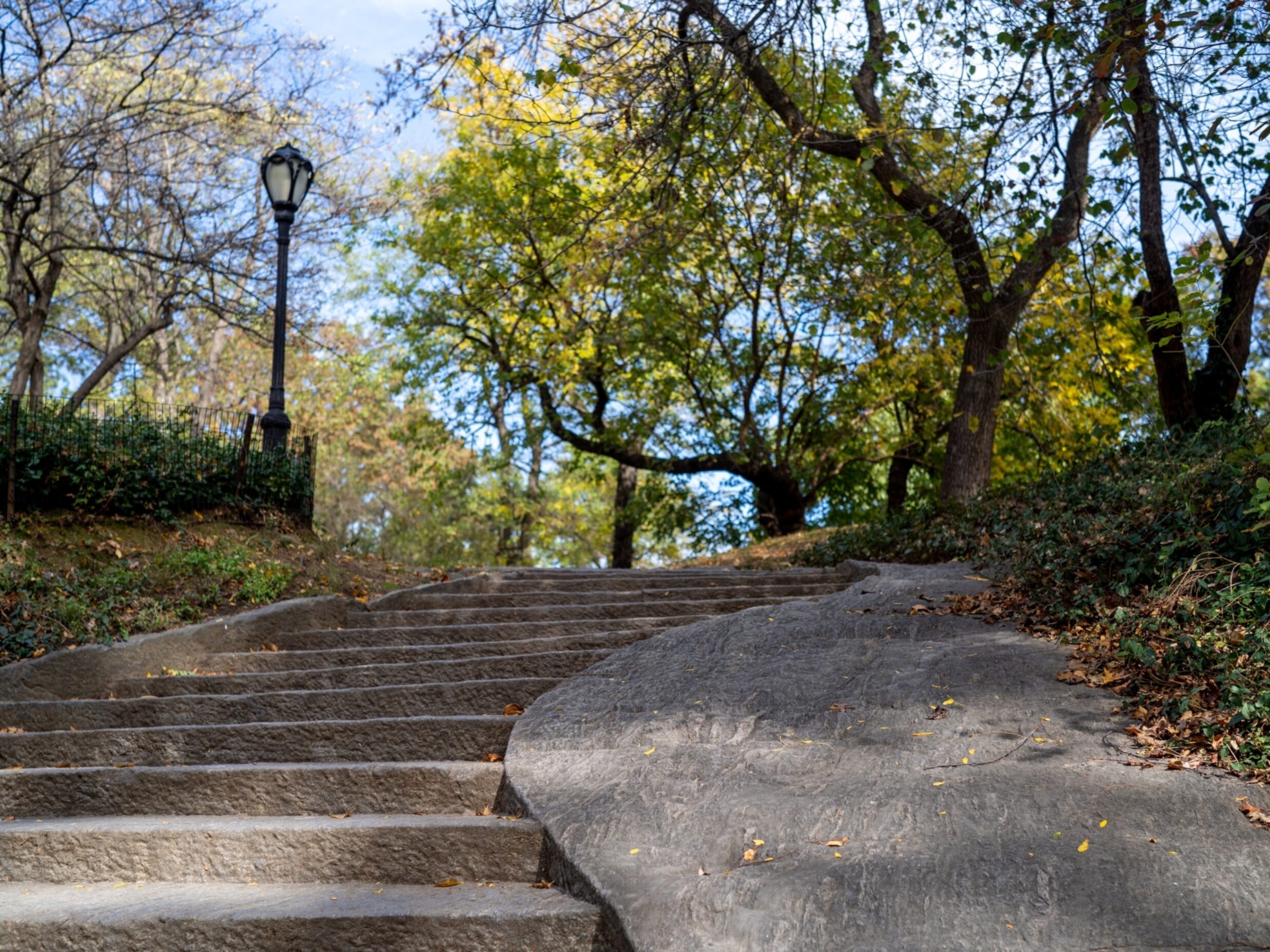 Seneca Village Landscape | Central Park Conservancy