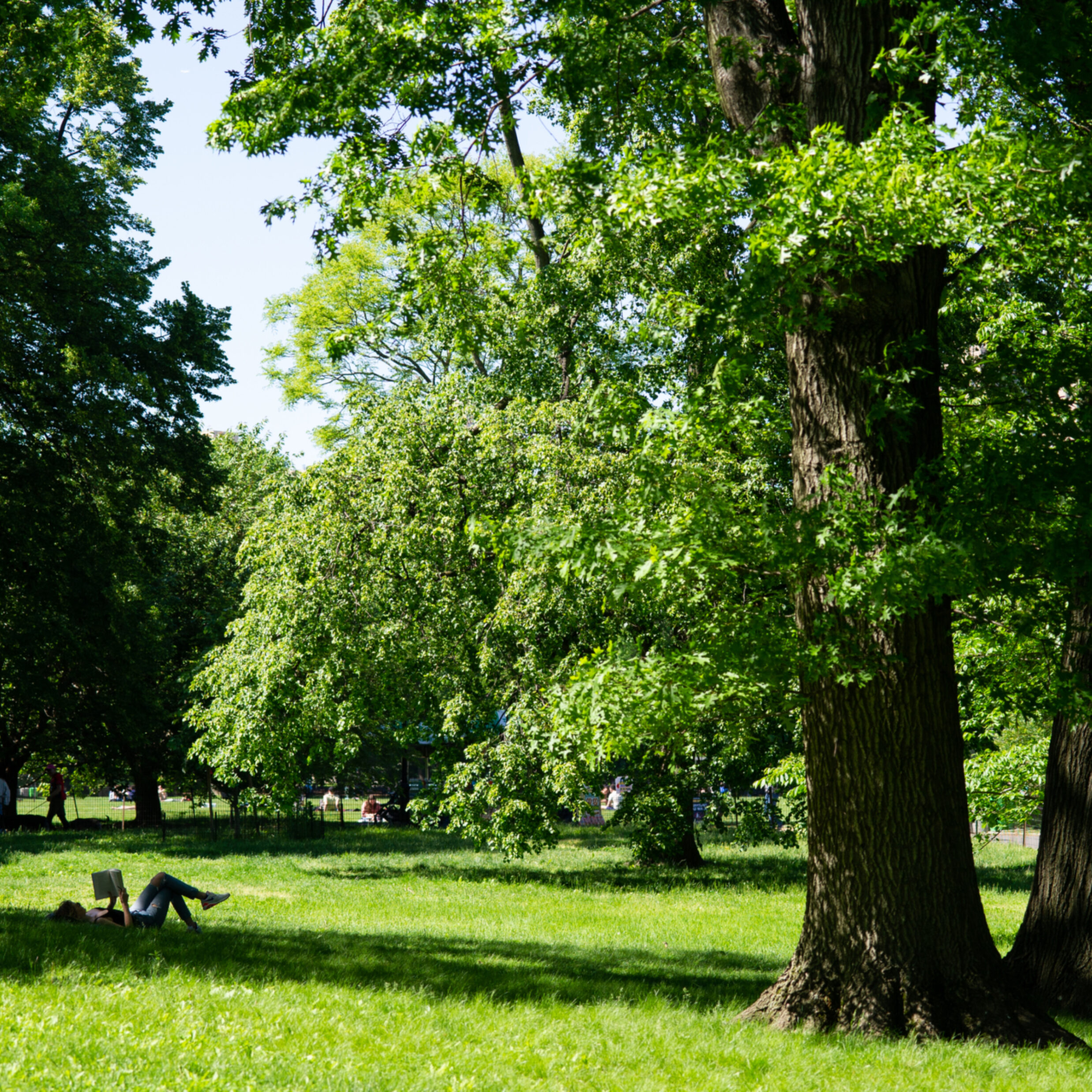 Your Official Guide to Central Park I… | Central Park Conservancy