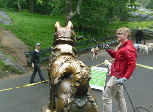 From Alaska to Central Park: Balto the… | Central Park Conservancy