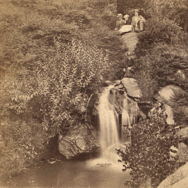 The Ramble: ‘A Sense of Mystery’ Across 36… | Central Park Conservancy