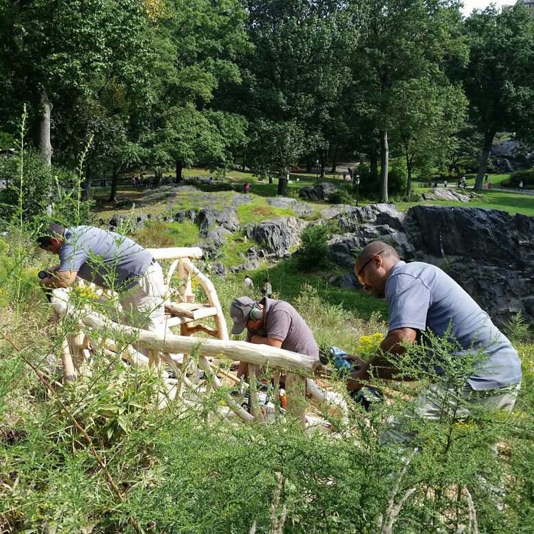 Dene Slope Restoration | Central Park Conservancy