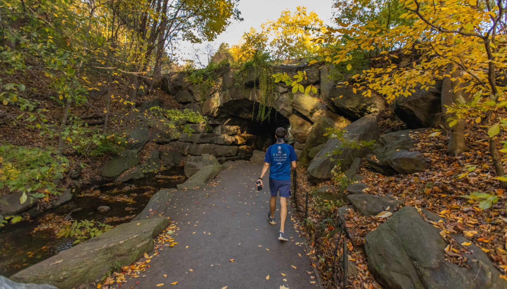 Central Park Conservancy | The Central Park Conservancy