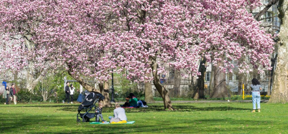 East Green | Central Park Conservancy