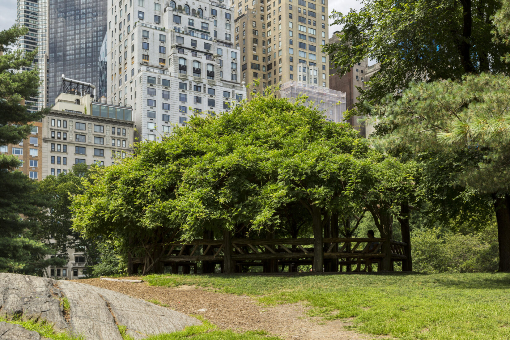 The Park Needs Us | Central Park Conservancy